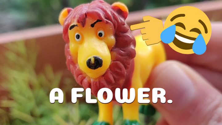 Funny Object Detection Moments